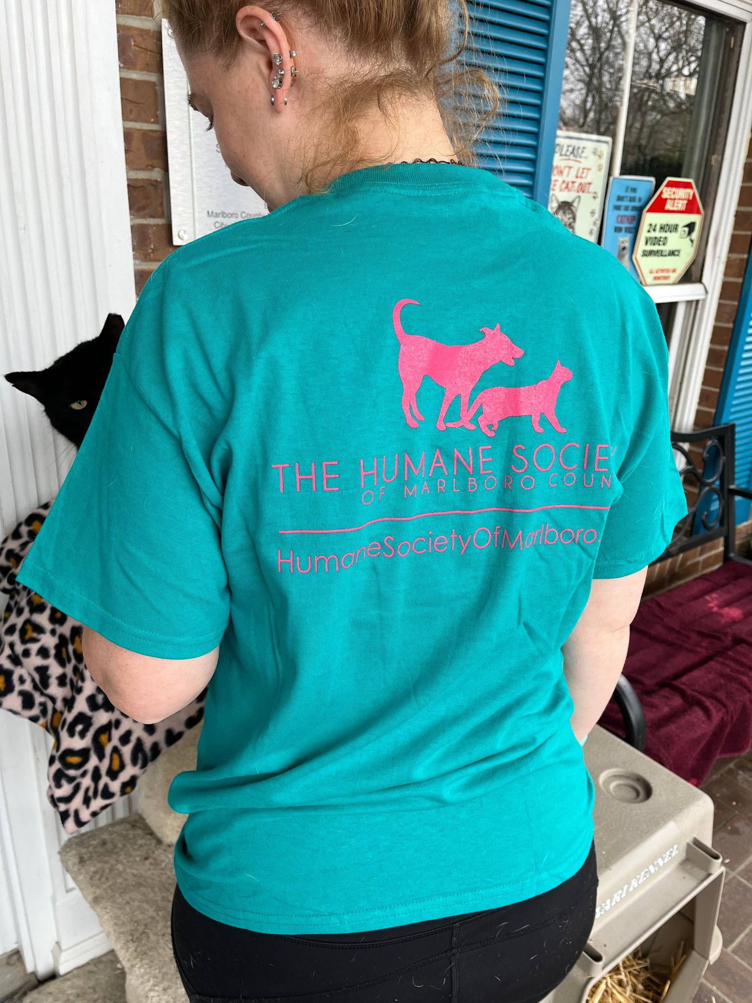 Short Sleeve Tshirt: Various Colors – Humane Society of Marlboro County